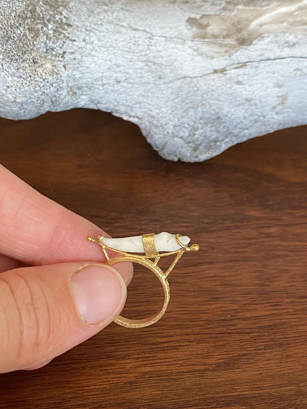 M. Rose Studio- Reclined Carnivore Ring | The Gold Hammer